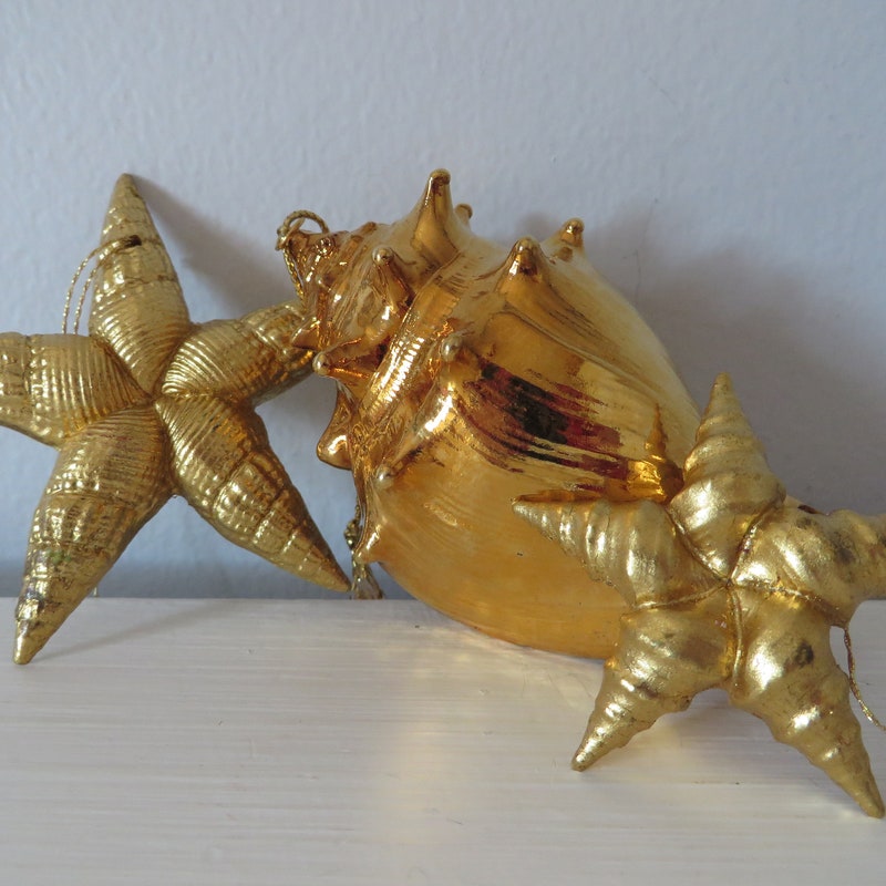 Sea Shell Ornaments - Etsy