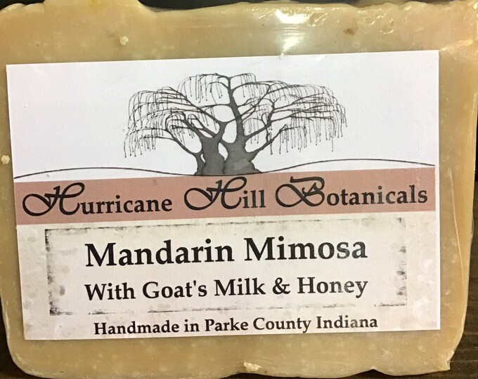 Mandarin Mimosa Soap Bar - Etsy