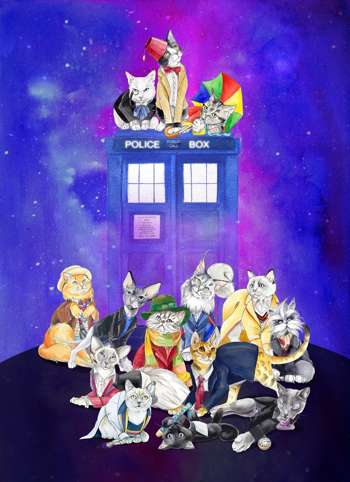 All 13 Doctor Mew: Doctor Who Cats With the TARDIS Fine Art | Etsy