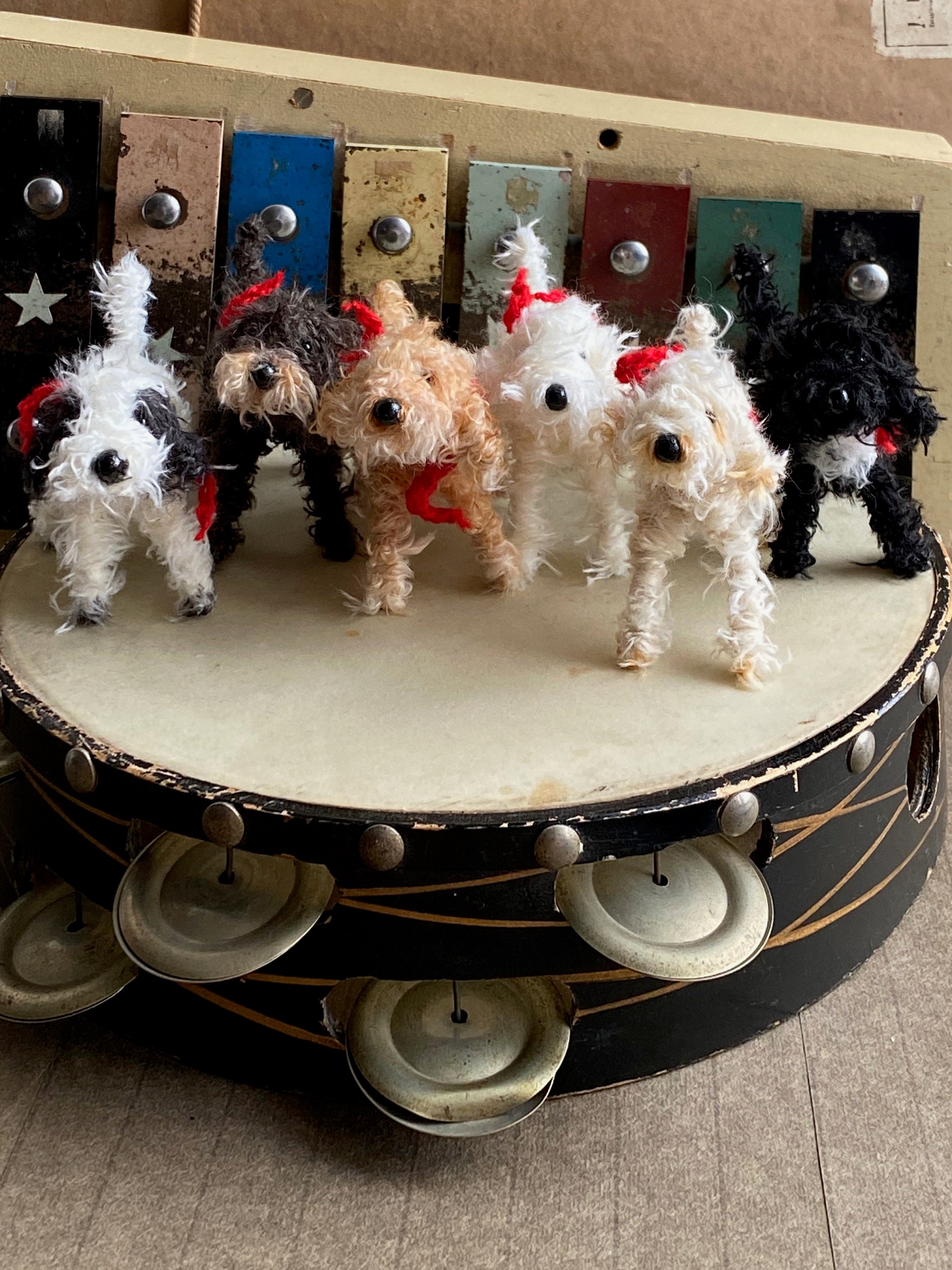 Black and White/tuxedo Labradoodle, Cockapoo, Cavapoo, Cavachon - Etsy UK