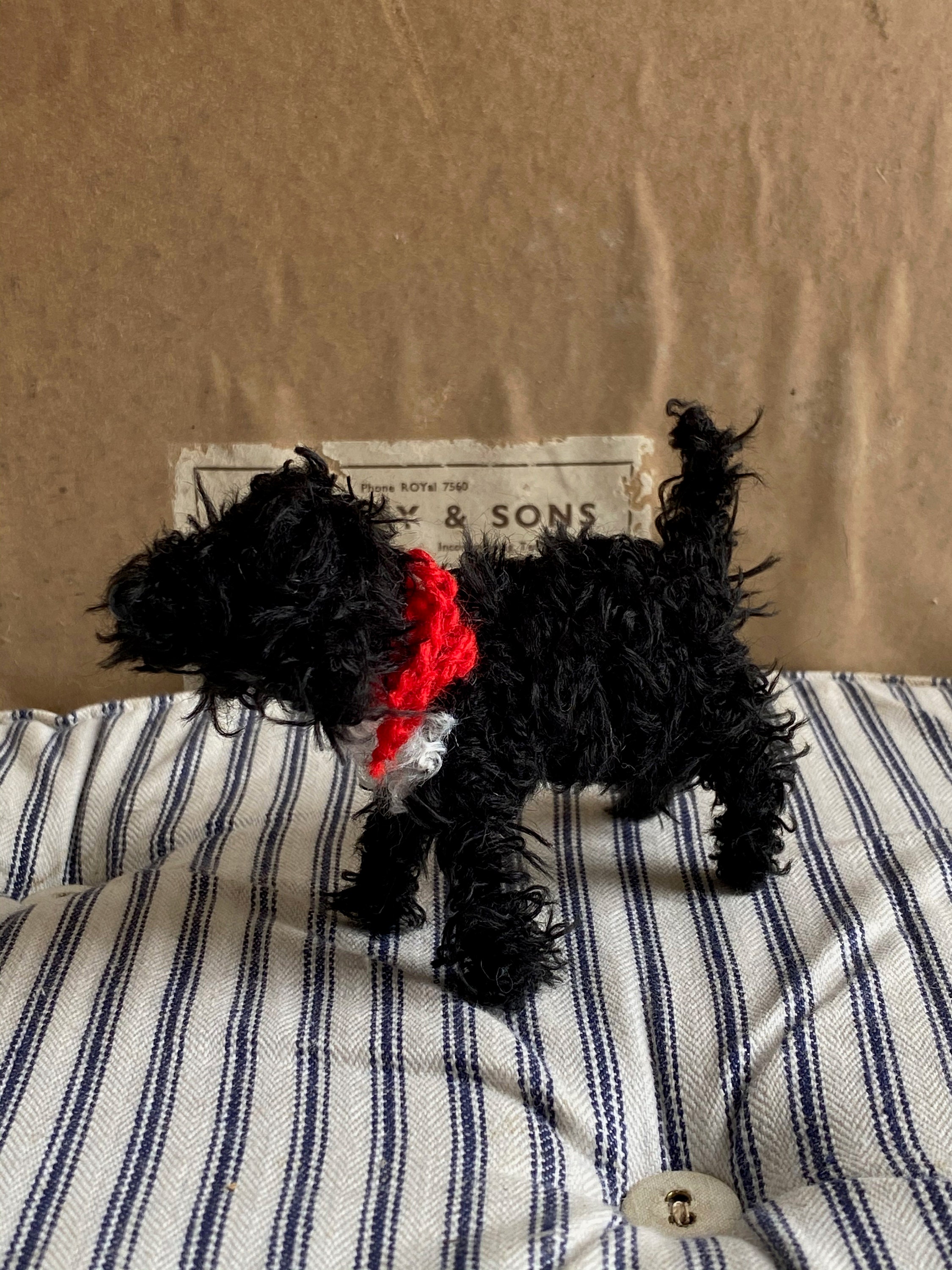 Black and White/tuxedo Labradoodle, Cockapoo, Cavapoo, Cavachon - Etsy UK