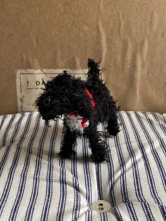 Black and white/Tuxedo Labradoodle Cockapoo Cavapoo | Etsy