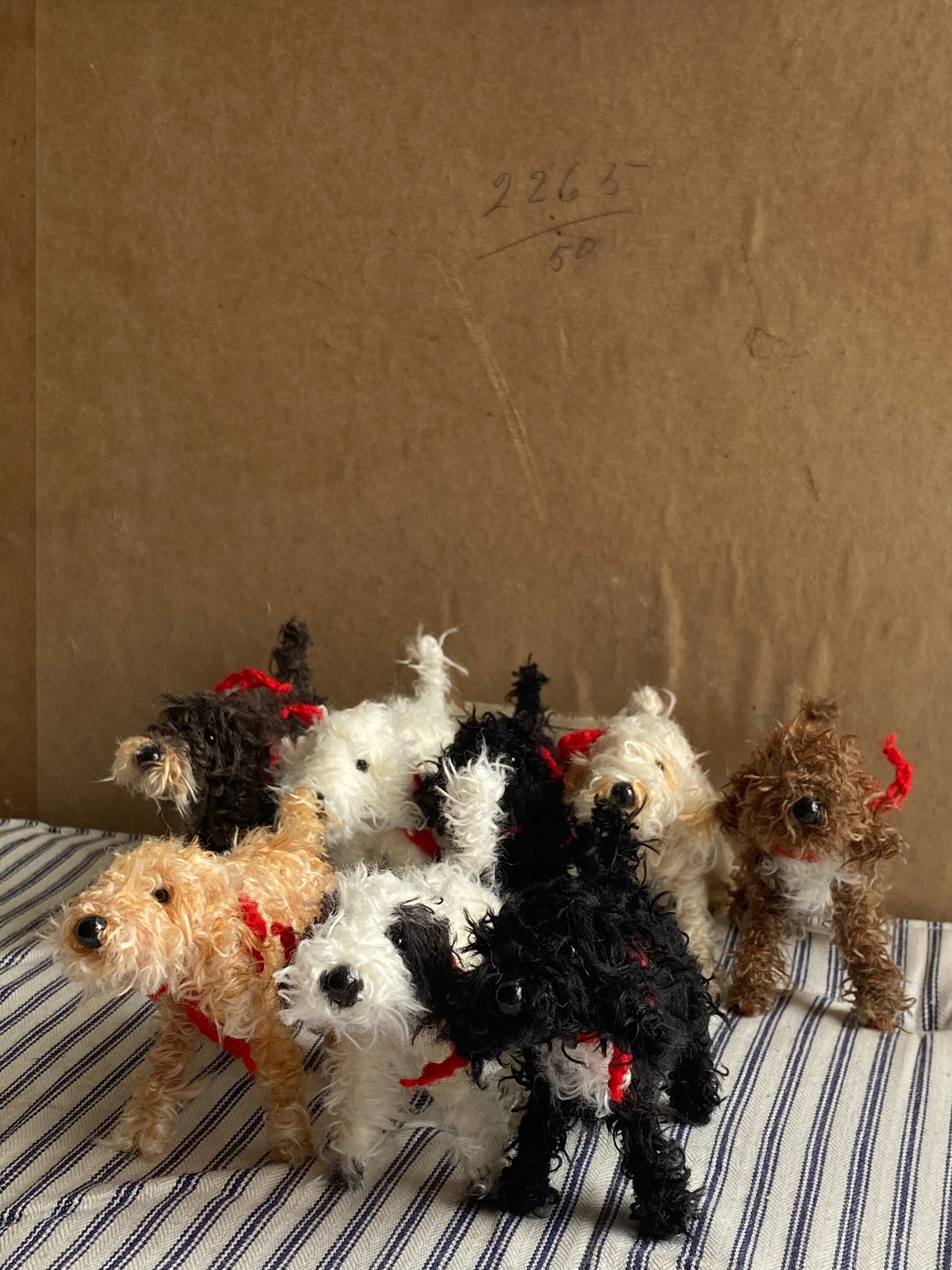 Black and White/tuxedo Labradoodle, Cockapoo, Cavapoo, Cavachon - Etsy UK