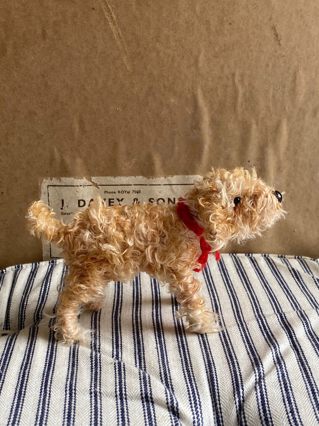 Apricot Cockapoo, Apricot Cavachon, Apricot Labradoodle - Etsy