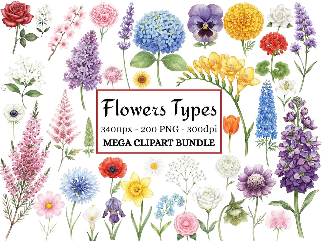 200 Watercolor Flower Types Clipart Mega Bundle | PNG Botanical Floral ...