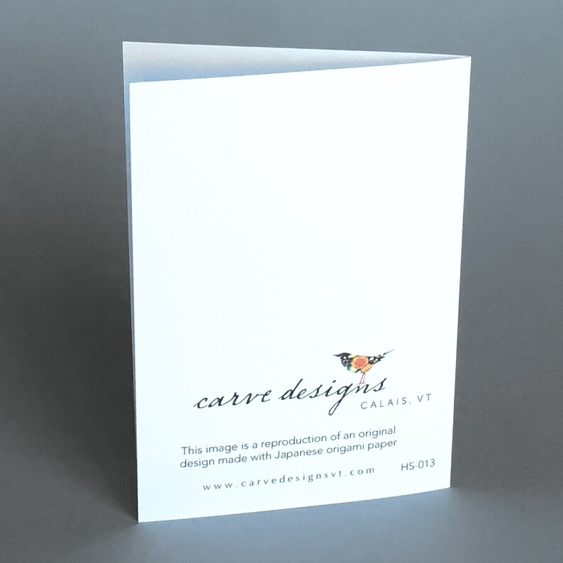 String of Lights: A Boxed Set of 10 Blank Christmas Cards, Plastic Free ...
