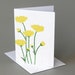 Flower Box: A Boxed Set of 10 Blank Colorful Flower Notecards ...