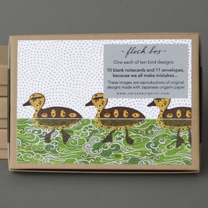 Flock Box: A Boxed Set of Ten Blank Bird Notecards. Plastic Free ...