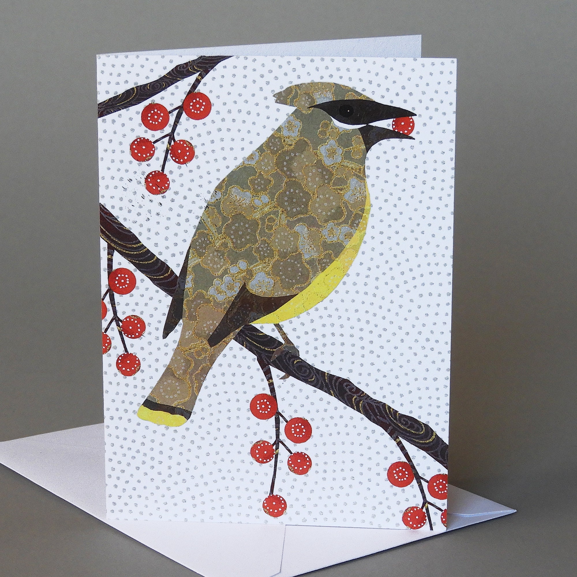 Winter Birds: A Boxed Set of Ten Blank Notecards, Nature, Birds ...