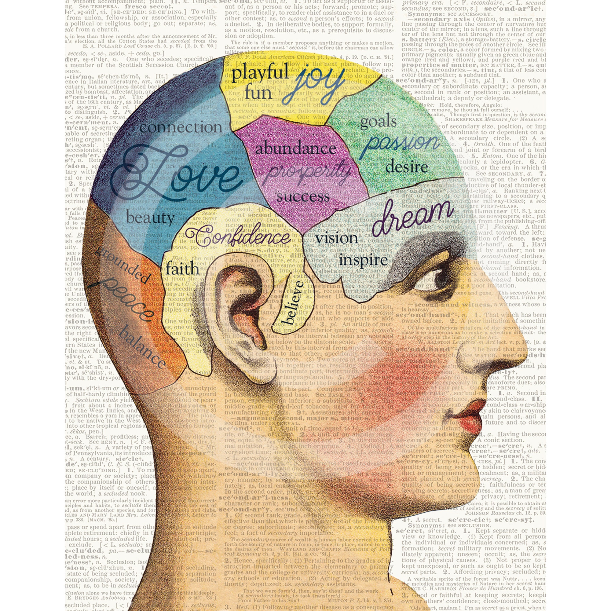 Phrenology Phrenology head Phrenology Gift Phrenology Art - Etsy España