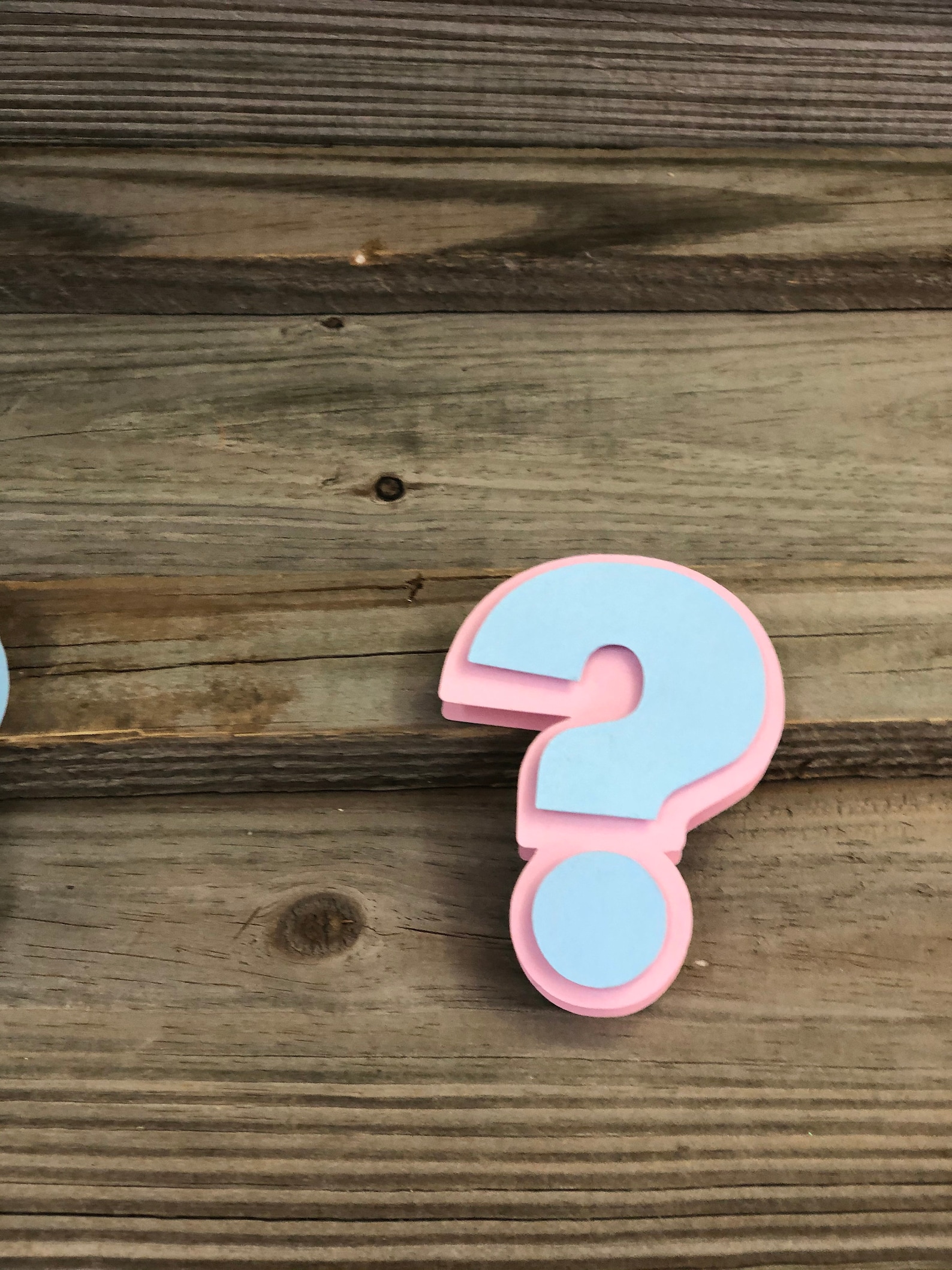 Set of 12 GENDER REVEAL Baby Pink and Baby Blue Question Mark - Etsy
