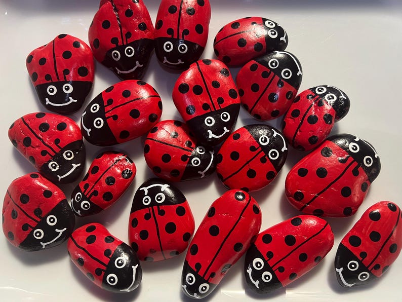 Lady Bug Painted Rock-home Decor- Garden Decor- Bug Painted Rock - Etsy