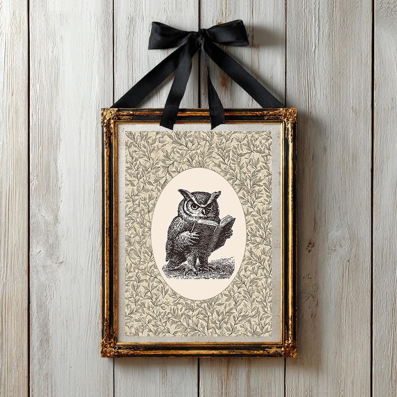 Vintage Book on Owls - Etsy