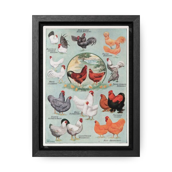 Chicken Breeds Poster - Etsy