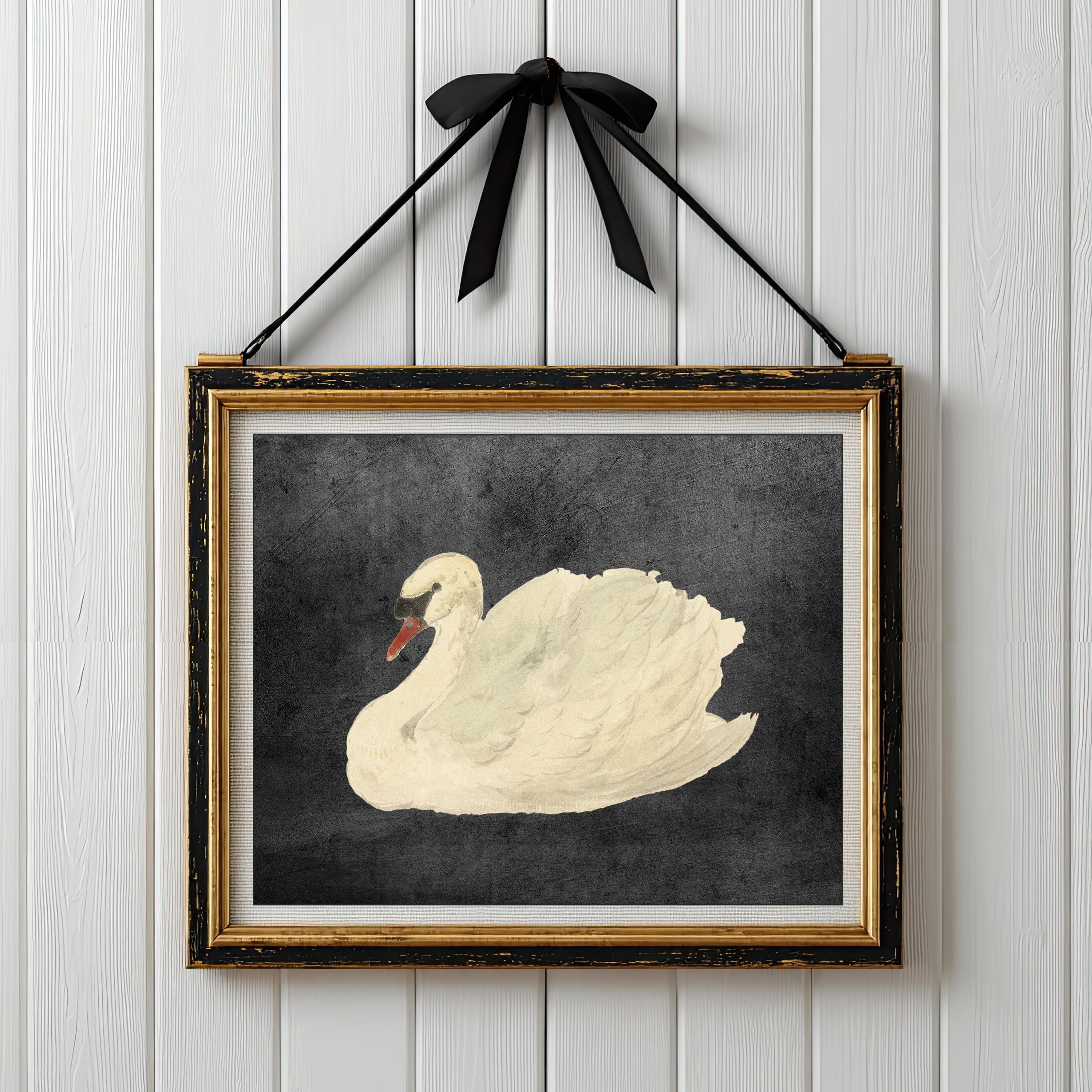 White Swan Print Vintage Bird Wall Art Vintage Artwork Retro Swans ...
