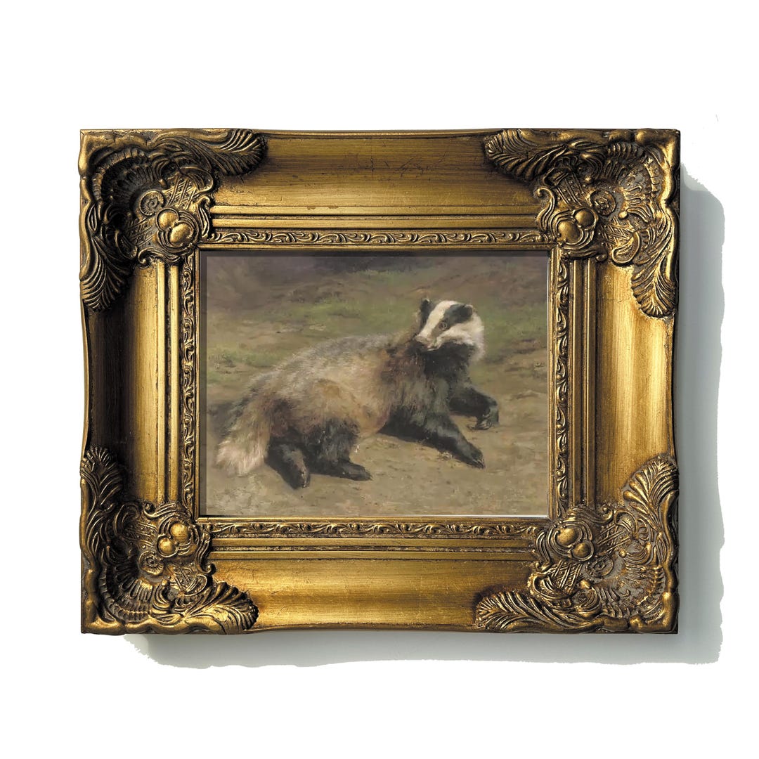 Badger Print Badger Art Print Gold Frame Wall Art Canvas Print Framed ...
