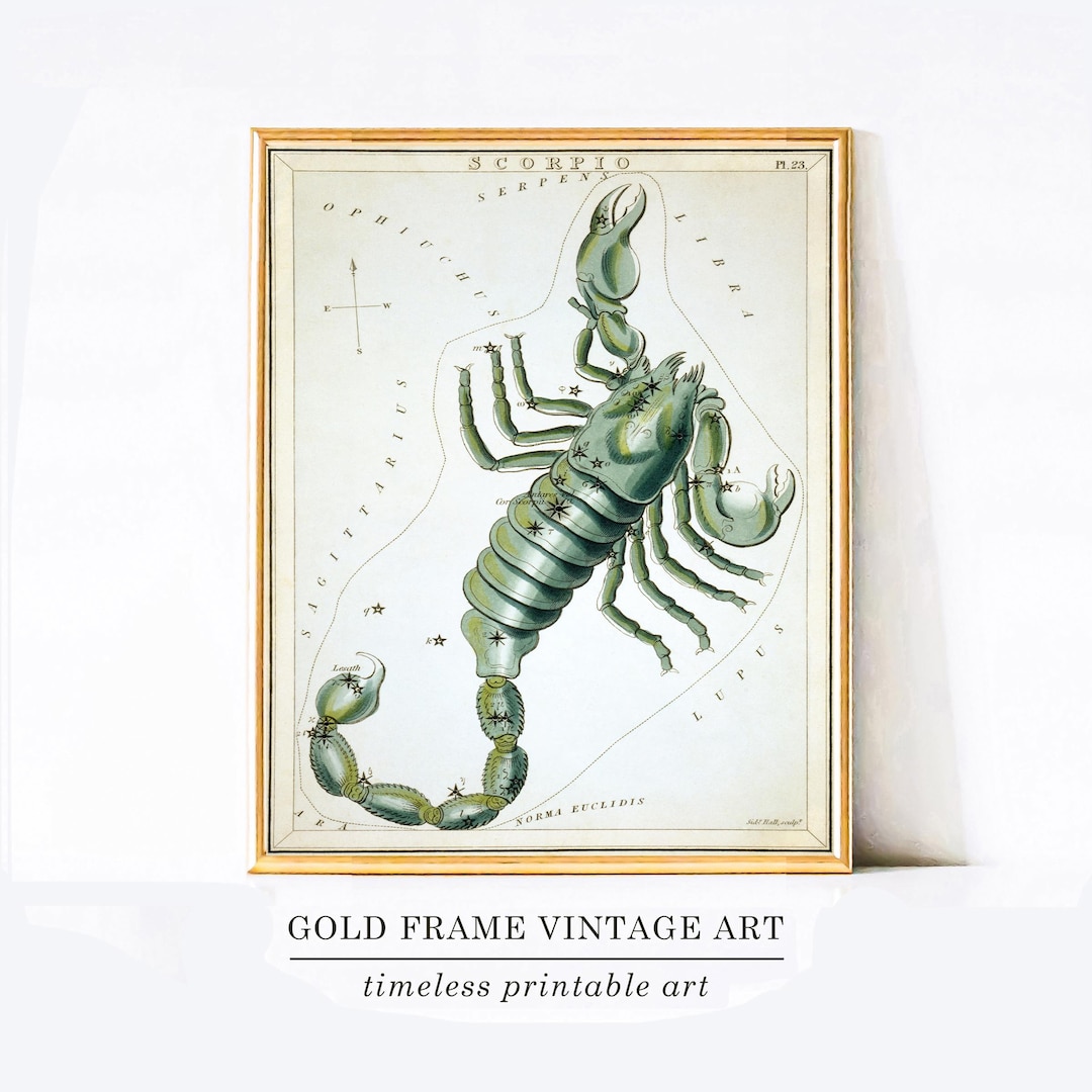 Scorpion Print Wall Art Watercolor Artwork Lime Green Print ...