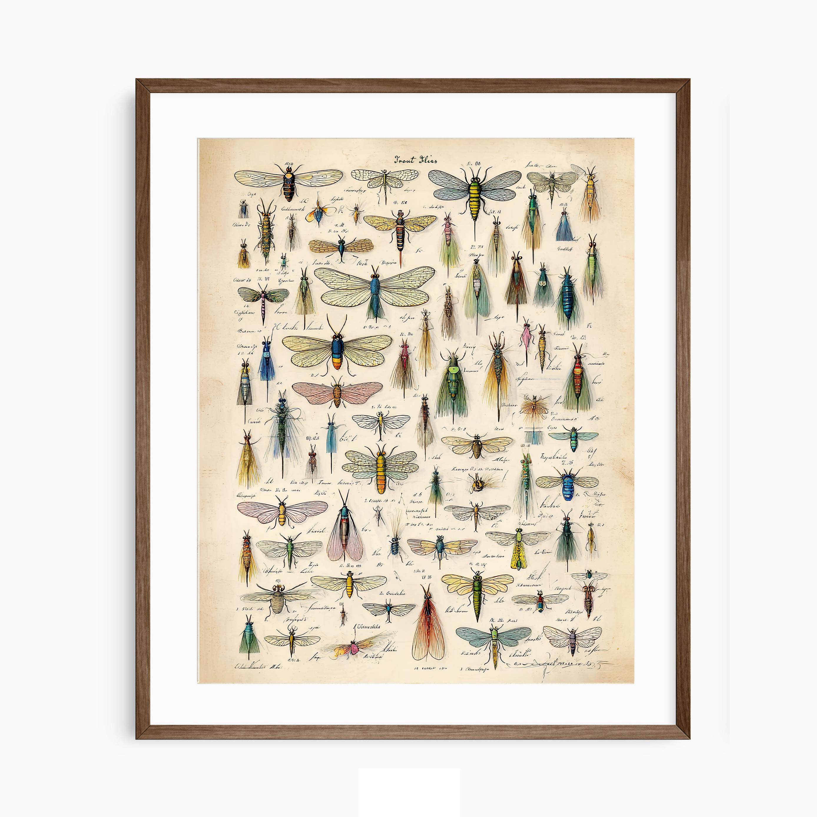 Fisherman Print Vintage Fly Fishing Insects Print Antique Illustration ...