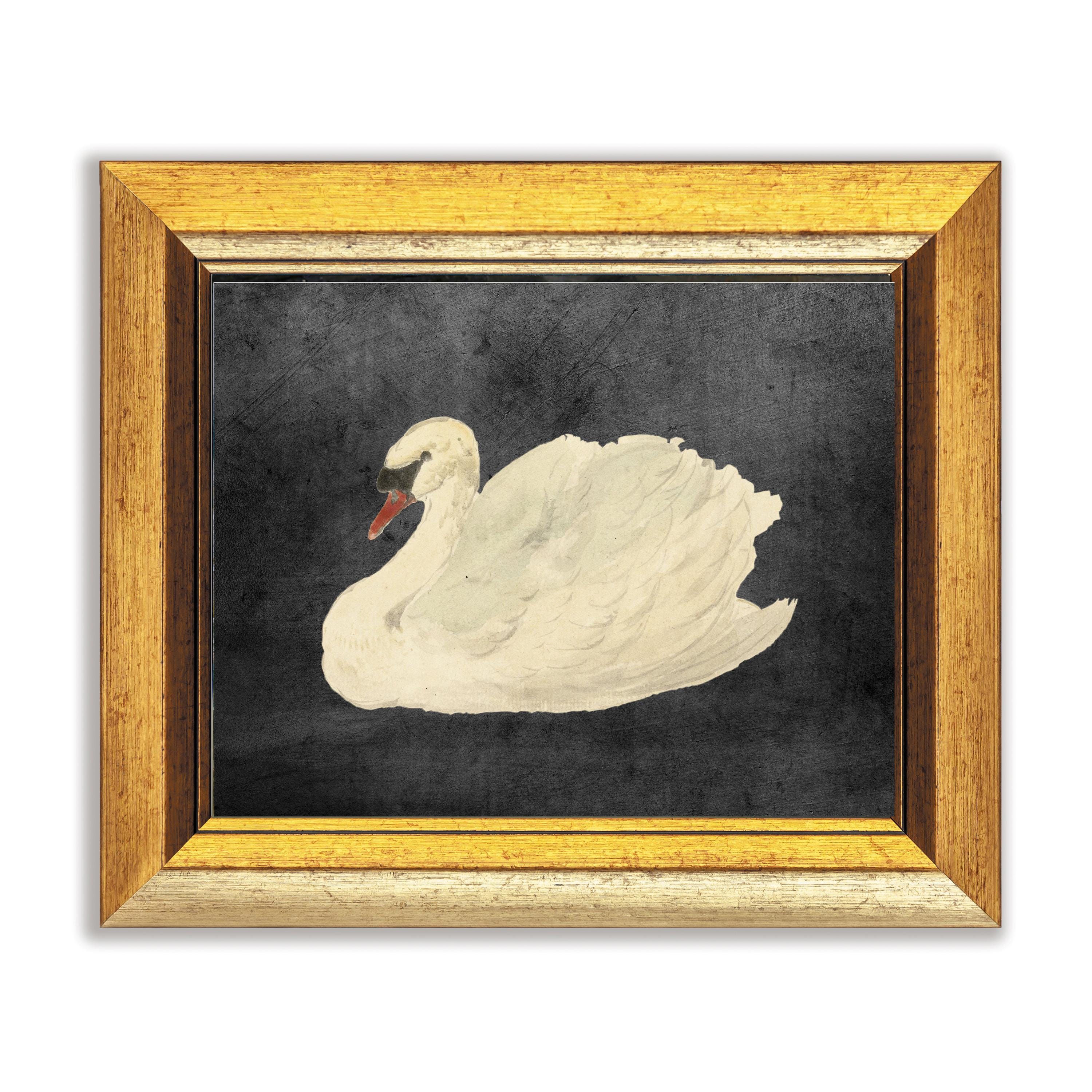White Swan Print Vintage Bird Wall Art Vintage Artwork Retro Swans ...