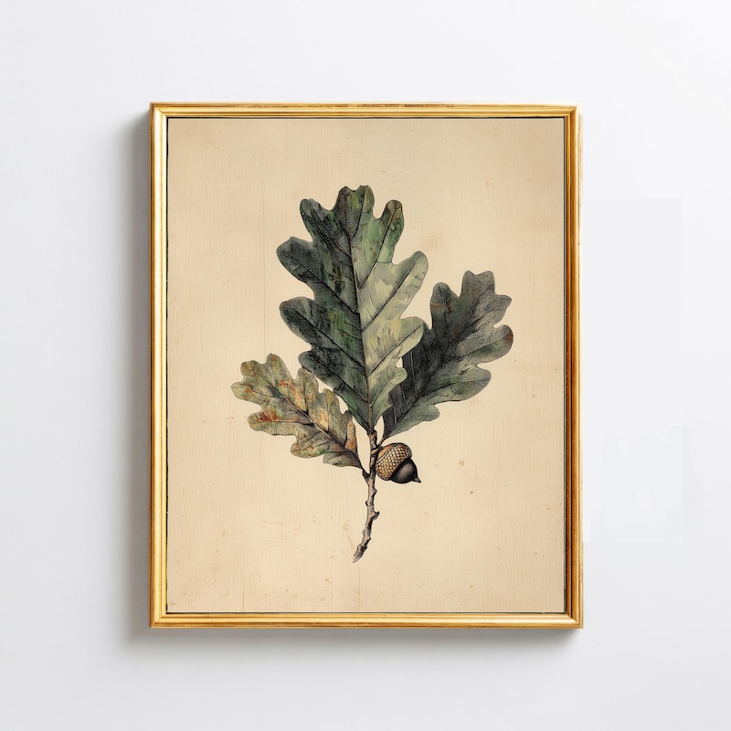 Vintage Acorn Wall Art - Etsy