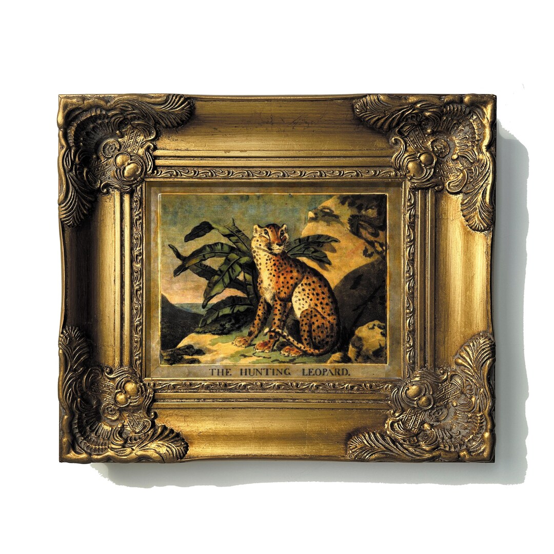 Leopard Print Leopard Wall Art Framed Vintage Leopard Wall Art Leopard ...
