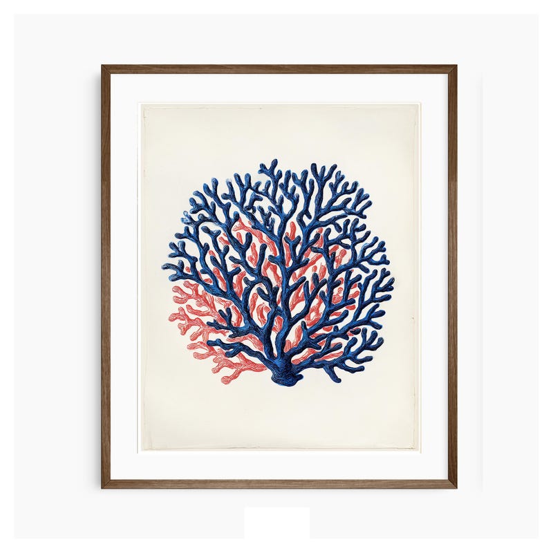 Coral Art Print - Etsy