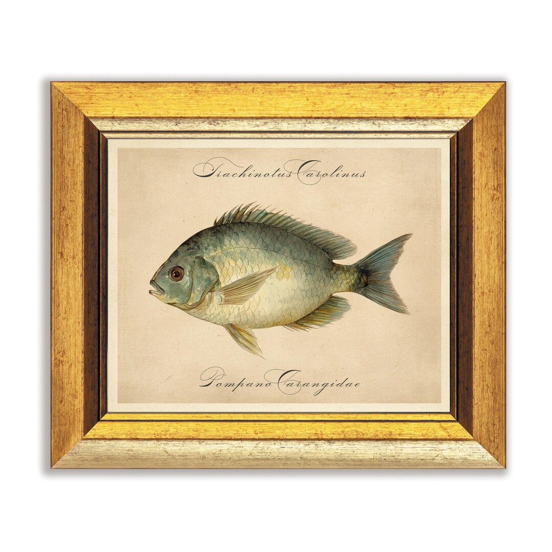 Vintage Fish Print, Beach House Wall Art, Saltwater Fish Prints, Rustic ...
