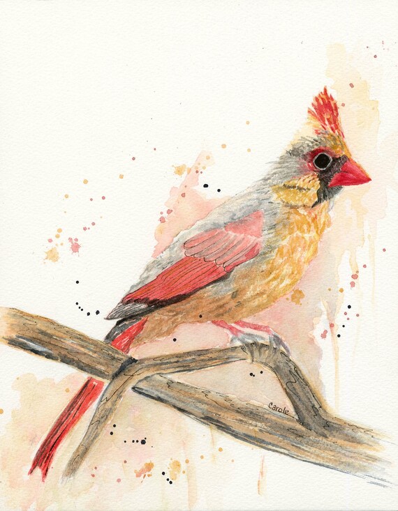 Female Cardinal Watercolor Painting Fine Art Bird Lover Gift - Etsy