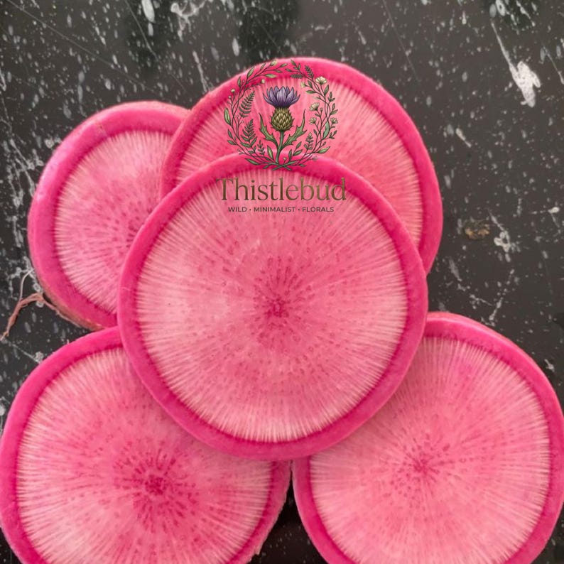 Watermelon Radish Seeds: Chinese Heirloom, Non-gmo, 100 Seeds ...