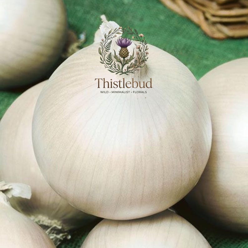 White Sweet Spanish Onion Seeds: Heirloom, Non-gmo, Large Globe (250 ...