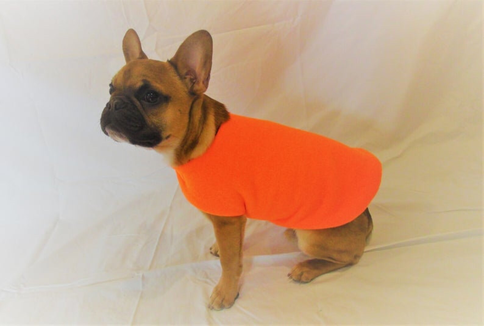 Camouflage Dog Jacket-camo Swag-reversible Camouflage to Neon - Etsy