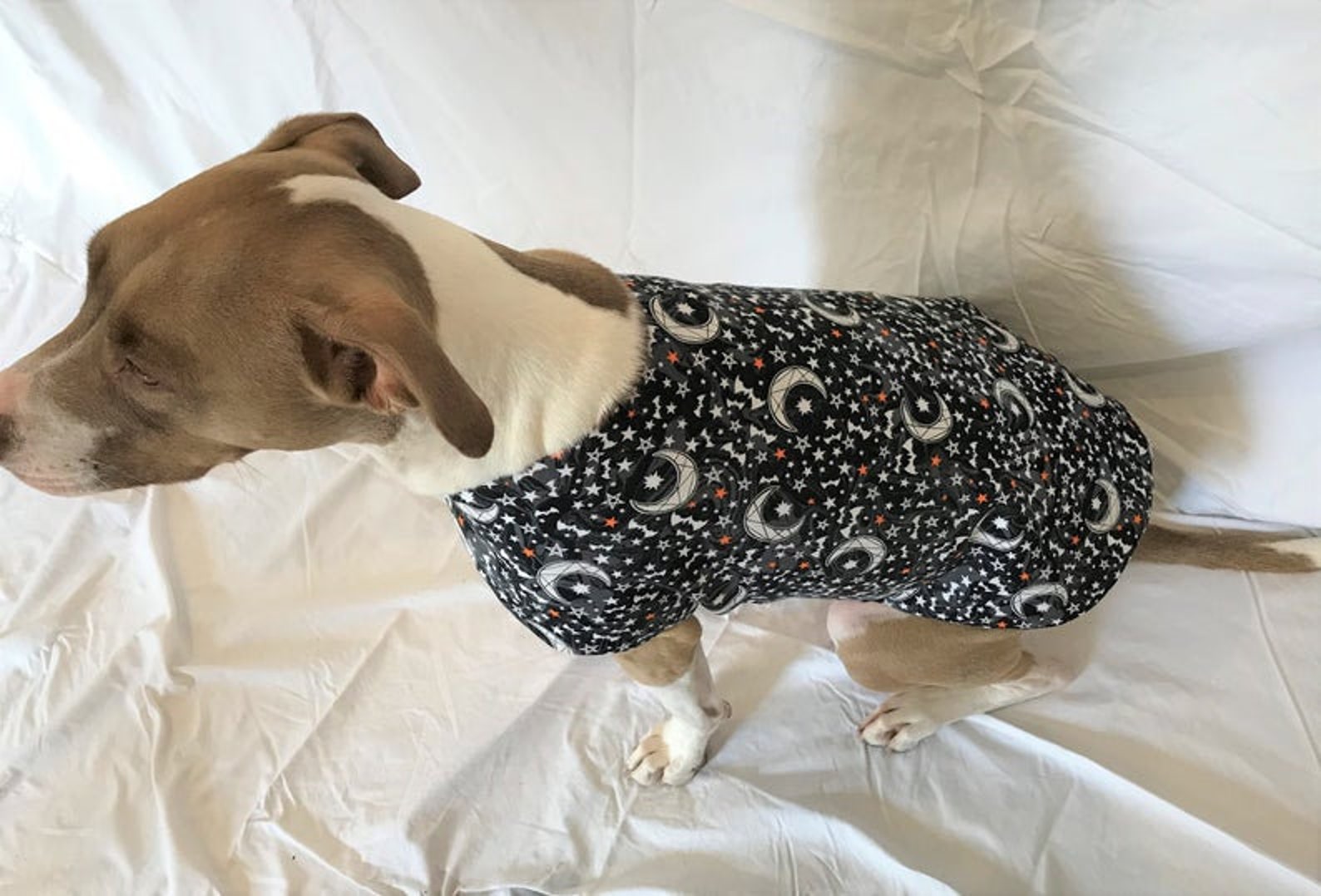SKULL FACE Dog Coat-handmade, Unique SWAGGIEDOG Original- Skull W/large ...