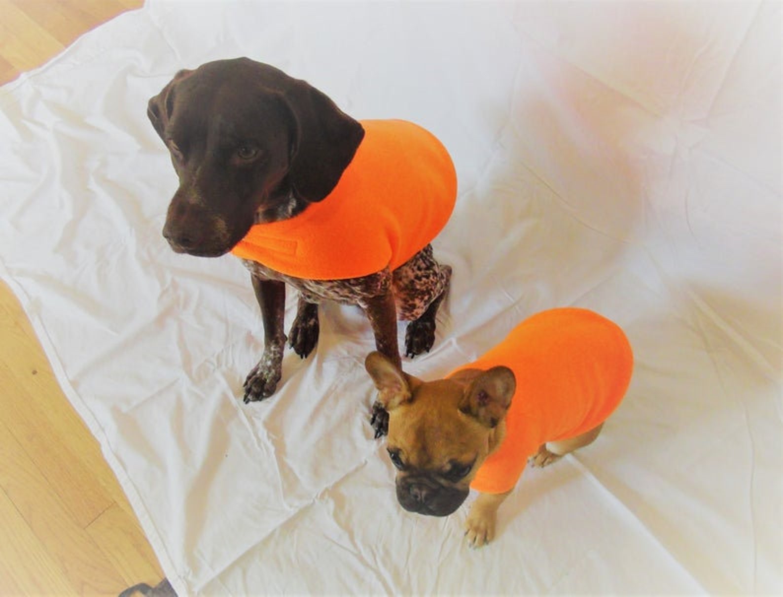 Camouflage Dog Jacket-camo Swag-reversible Camouflage to Neon Bright ...
