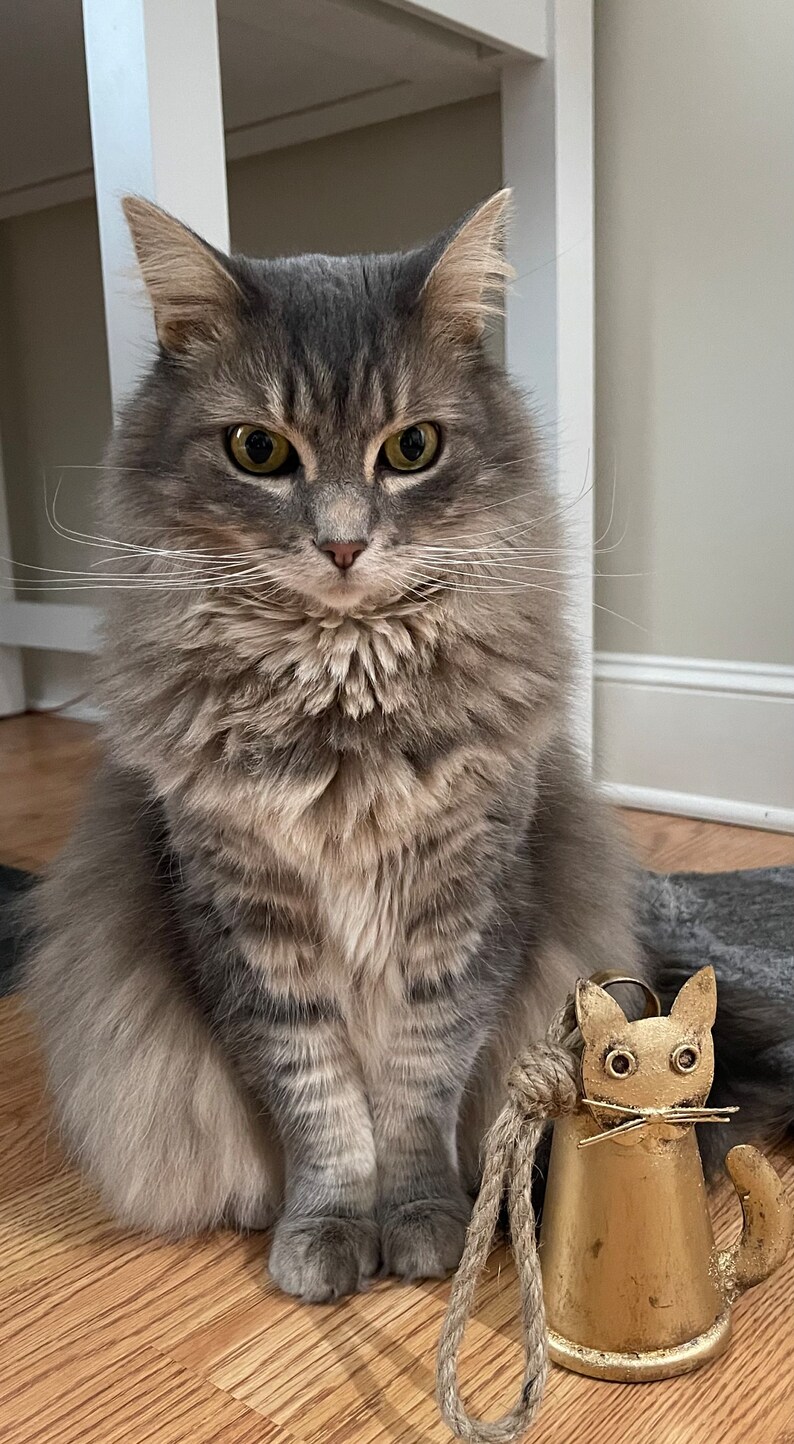 Mr. Meowsur CAT BELL in Gold Rustic Farmhouse Style - Adorable Ringing ...