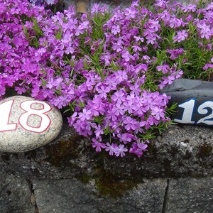 CUSTOM House Number-hand Painted on Rock-unique & One-of-a-kind ...