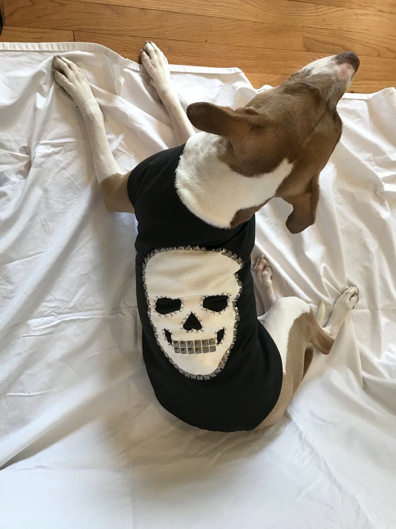 SKULL FACE Dog Coat-handmade Unique SWAGGIEDOG Original | Etsy