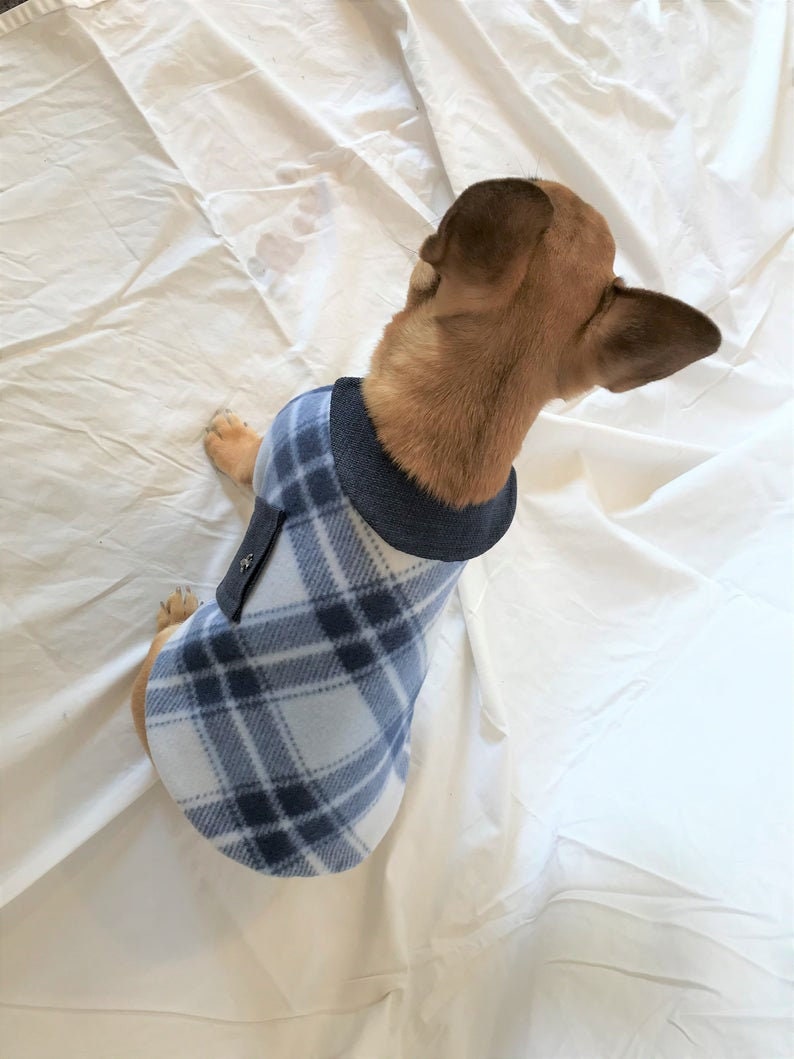 Dog Coat-blue Plaid-gentleman Swag-w/ Blue Collar and Pocket for Waste ...