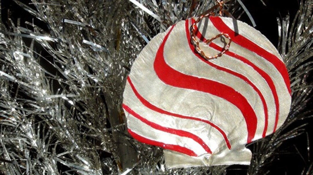 Hand Painted Scallop Shell Christmas Ornament - Shell From Salem Harbor ...