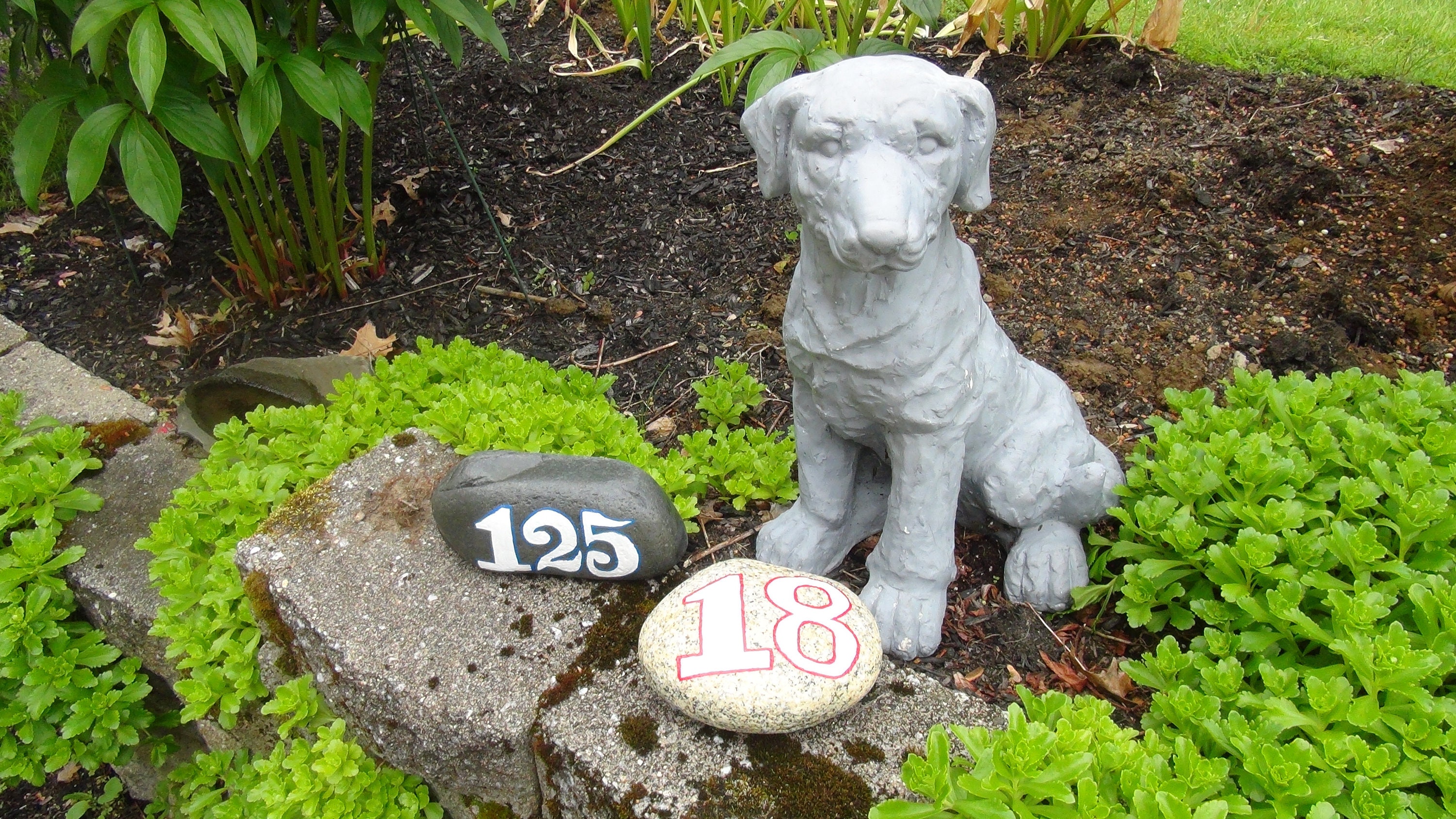 CUSTOM House Number-hand Painted on Rock-unique & | Etsy