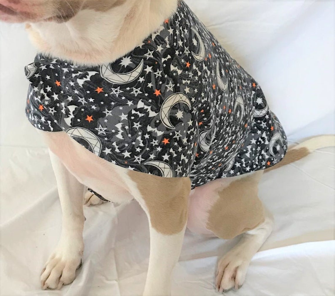 SKULL FACE Dog Coat-handmade, Unique SWAGGIEDOG Original- Skull W/large ...