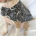 SKULL FACE Dog Coat-handmade, Unique SWAGGIEDOG Original- Skull W/large ...