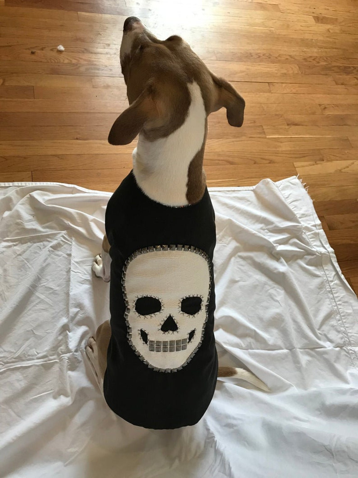 SKULL FACE Dog Coat-handmade, Unique SWAGGIEDOG Original- Skull W/large ...