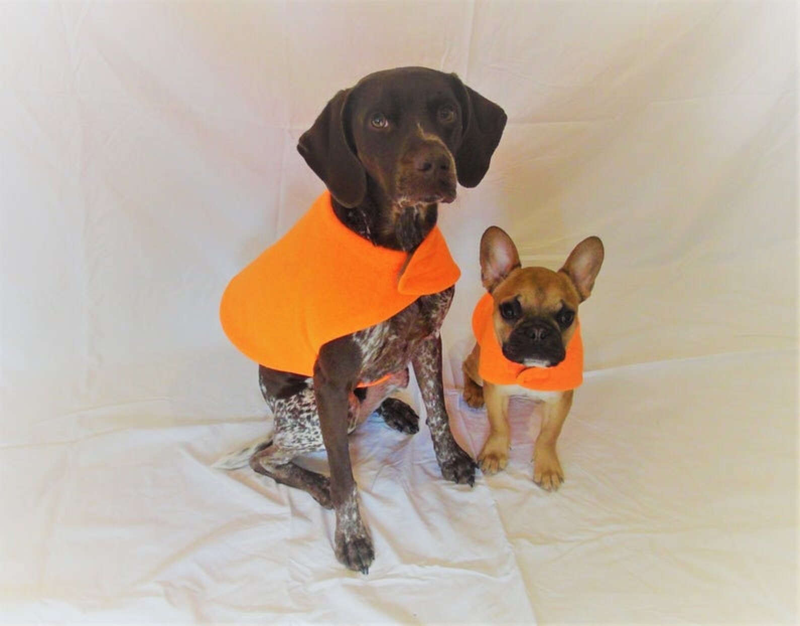 Camouflage Dog Jacket-camo Swag-reversible Camouflage to Neon Bright ...