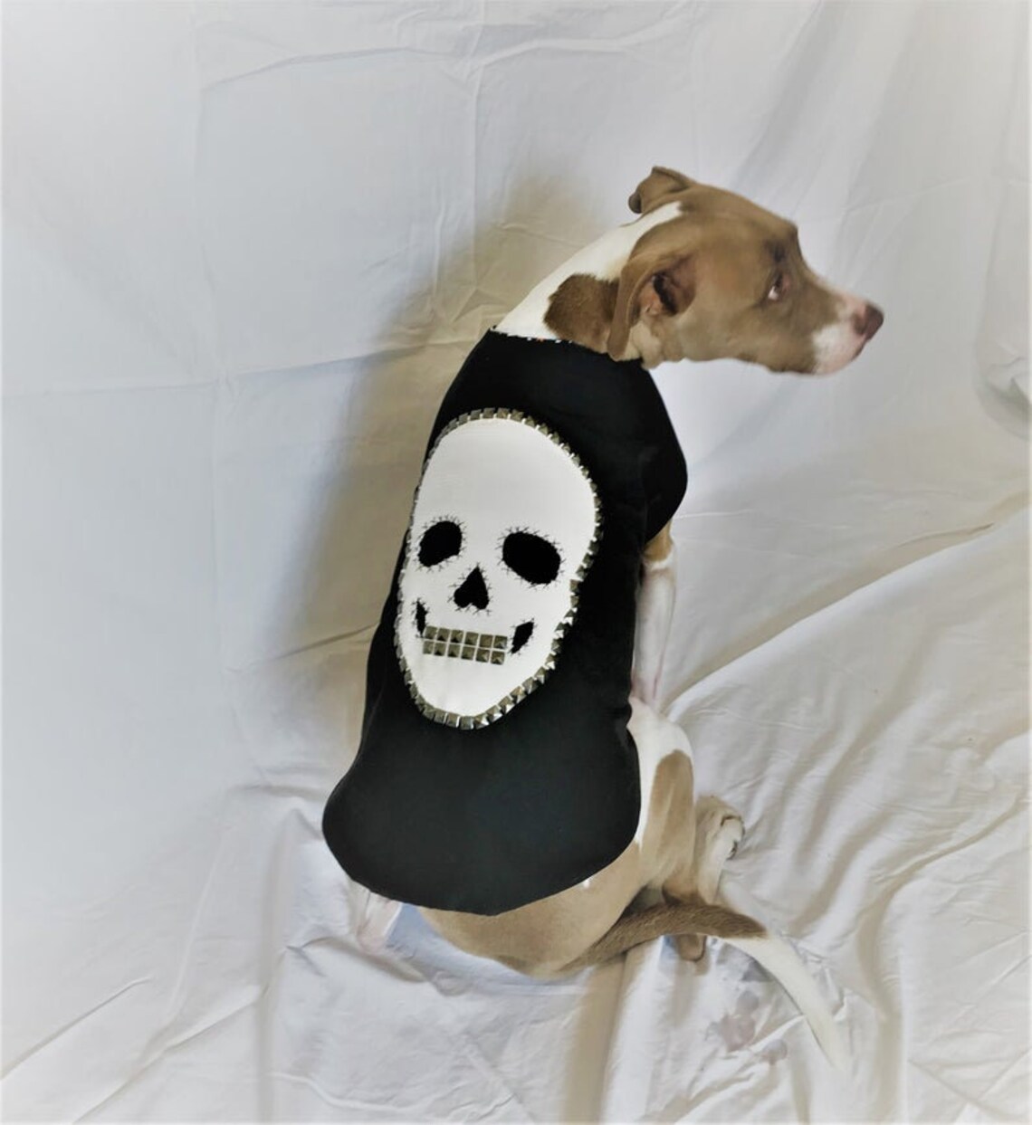 SKULL FACE Dog Coat-handmade, Unique SWAGGIEDOG Original- Skull W/large ...