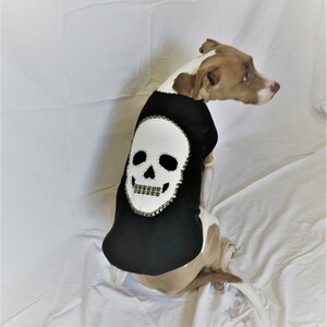 SKULL FACE Dog Coat-handmade, Unique SWAGGIEDOG Original- Skull W/large ...