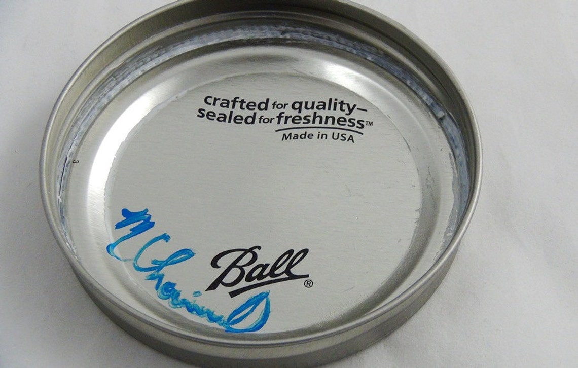 Bug on a Jar Hand Painted Mason Jar Lids Ladybug - Etsy