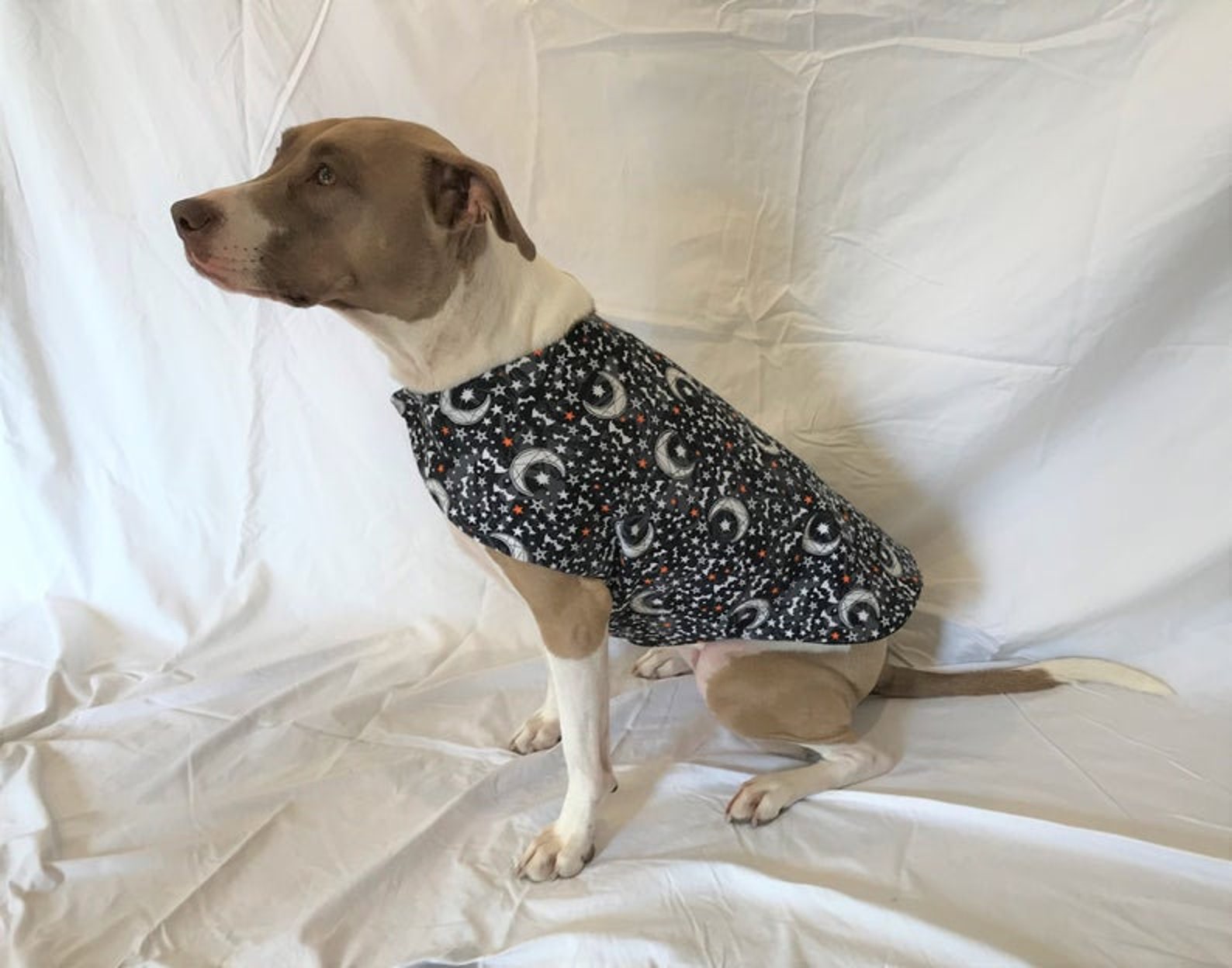 SKULL FACE Dog Coat-handmade, Unique SWAGGIEDOG Original- Skull W/large ...