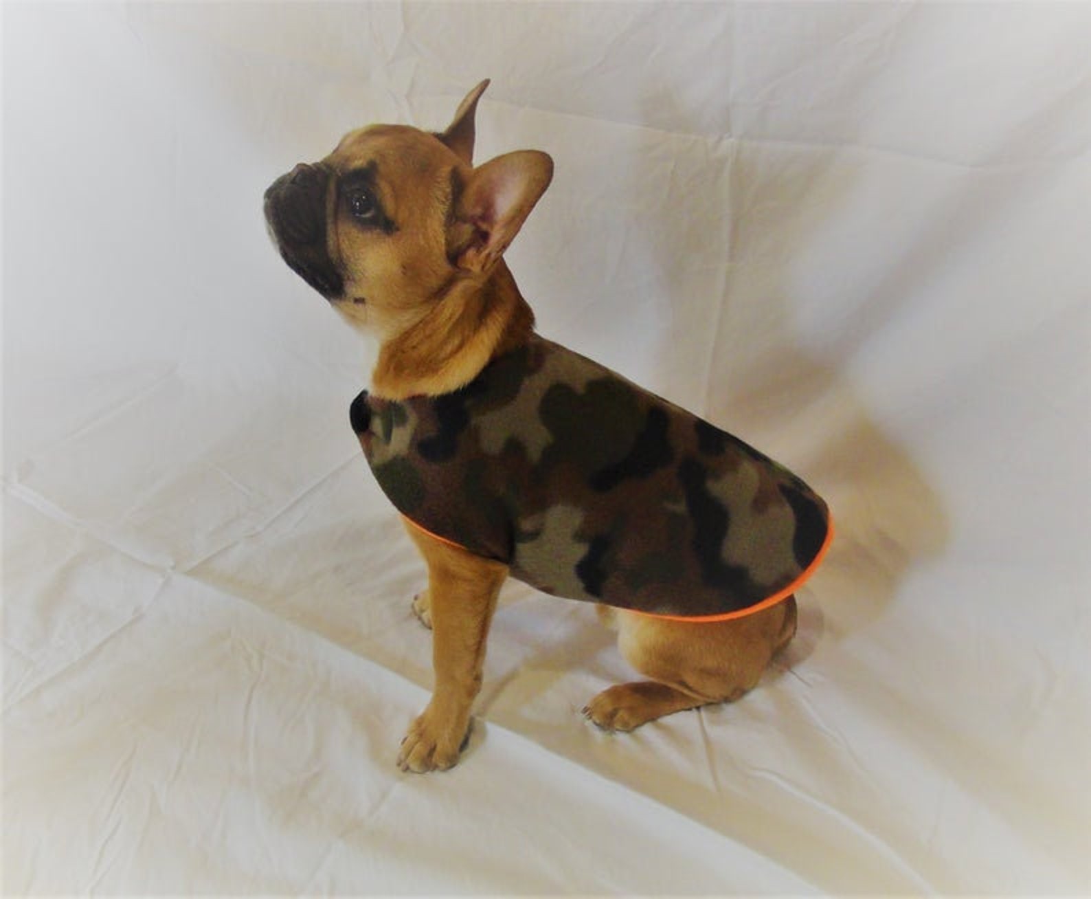 Camouflage Dog Jacket-camo Swag-reversible Camouflage to Neon - Etsy