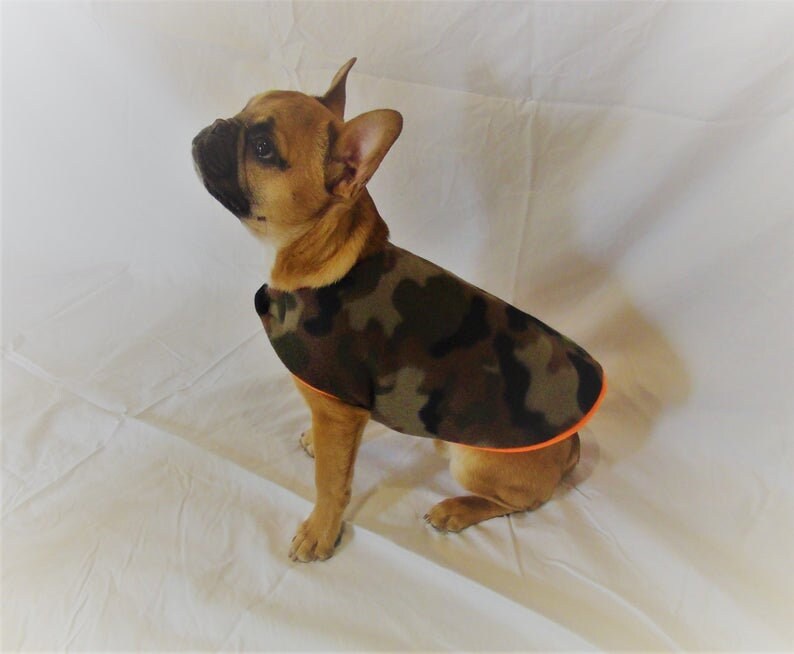 Camouflage Dog Jacket-camo Swag-reversible Camouflage to Neon Bright ...
