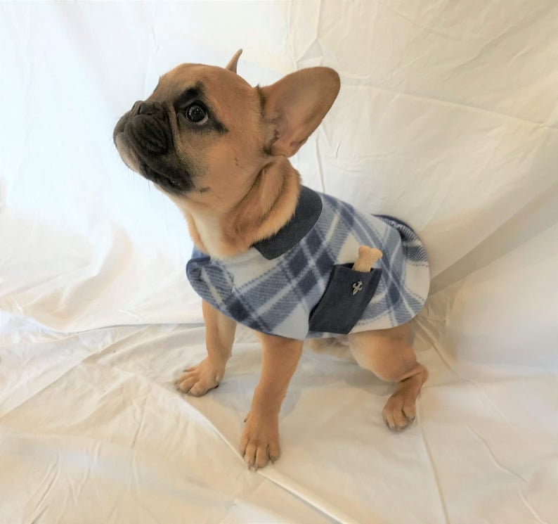 Dog Coat-blue Plaid-gentleman Swag-w/ Blue Collar and Pocket for Waste ...